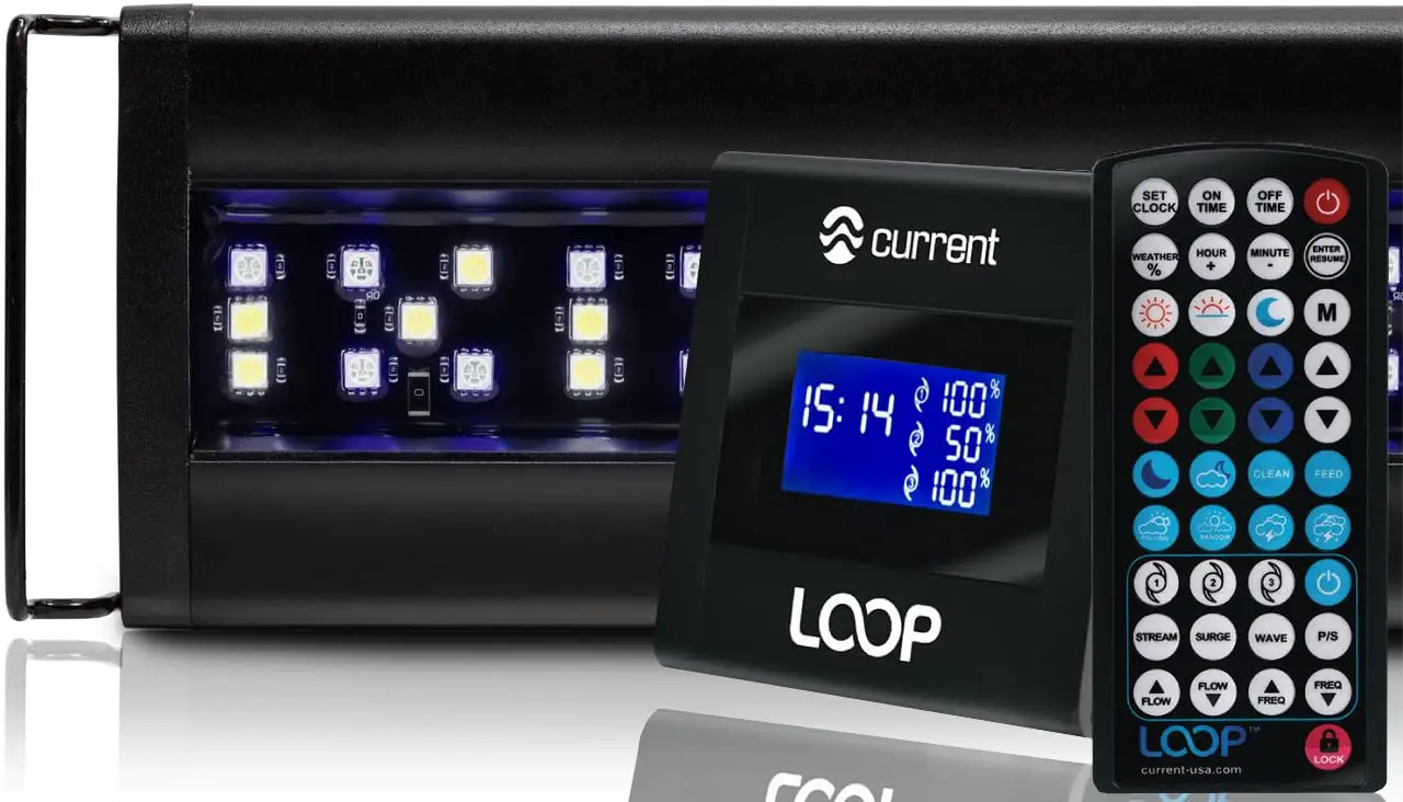 One Stop Guide On The Best Reef Lights In 2023 & Beyond!