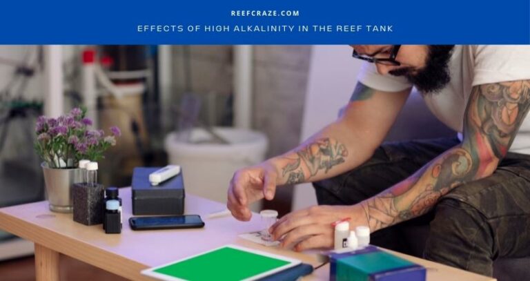 How To Lower Alkalinity In Reef Tank: 6 Easy Steps – Reef Craze