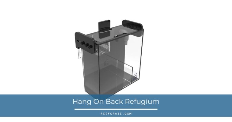 How To Set Up A Refugium? [Step By Step Guide] - Reef Craze