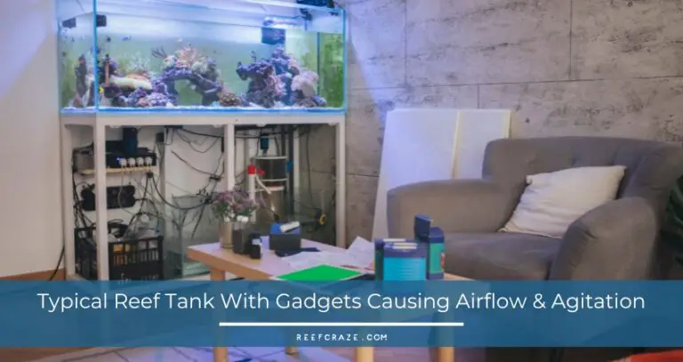 How To Setup A Reef Tank: [Step By Step Guide]