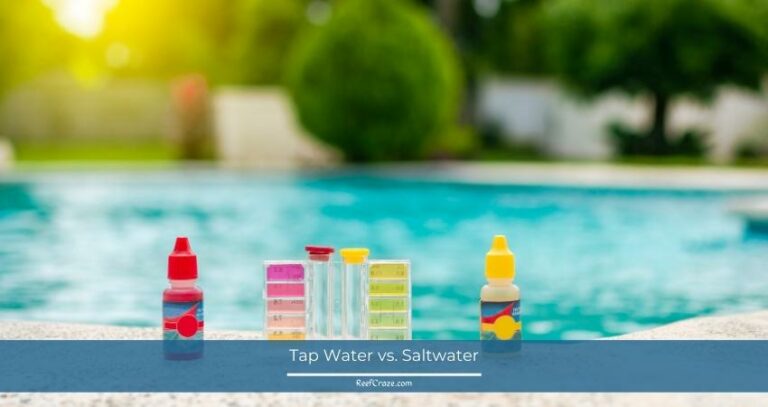 Using Tap Water in Your Saltwater Aquarium: [Is it Safe?] – Reef Craze