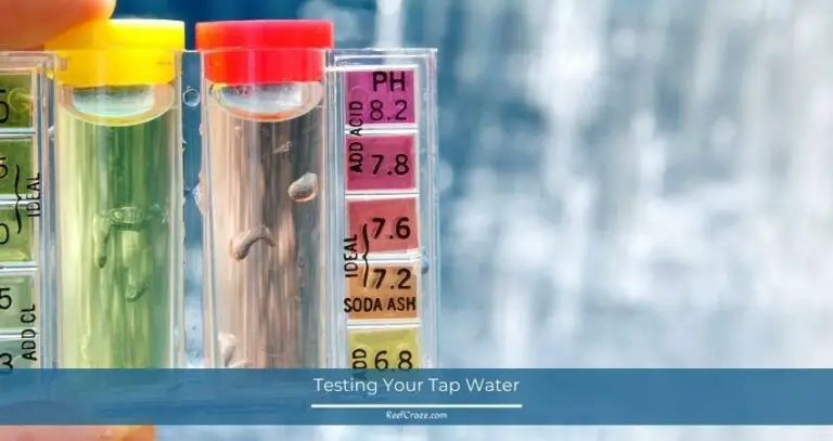 Using Tap Water in Your Saltwater Aquarium: [Is it Safe?] – Reef Craze