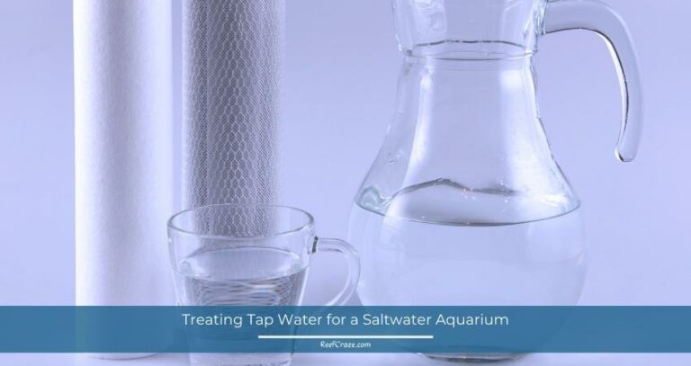 Using Tap Water in Your Saltwater Aquarium: [Is it Safe?] – Reef Craze